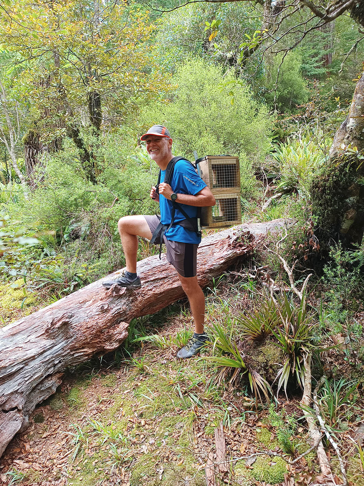 Environment Network Manawatu