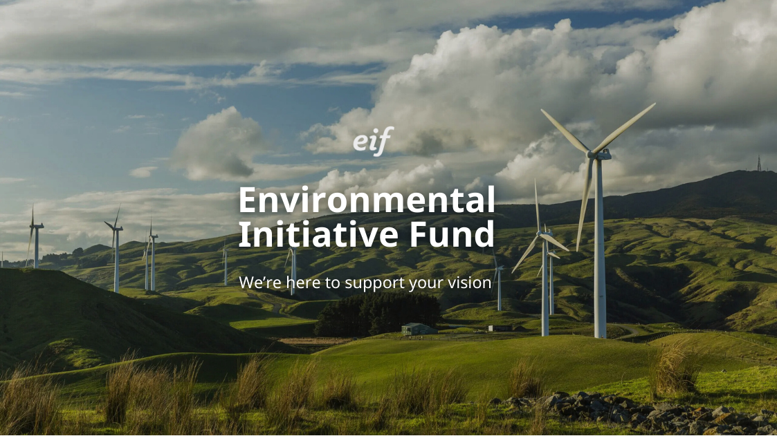 Environmental Initiatives Funding Palmerston North